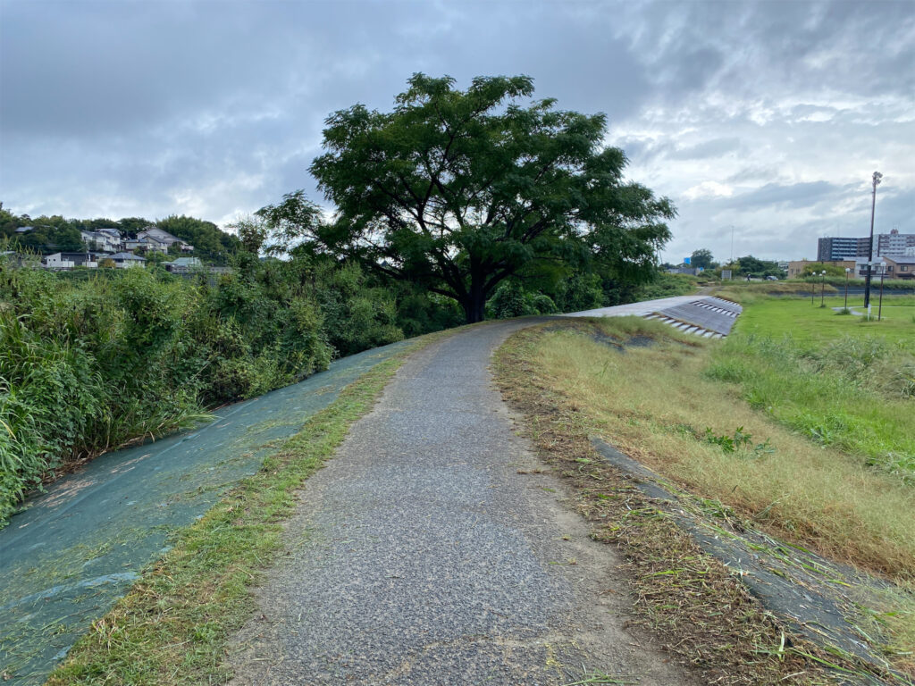 ボランティア活動報告 - 株式会社新星 - 熊本の電気・空調・給排水総合設備業